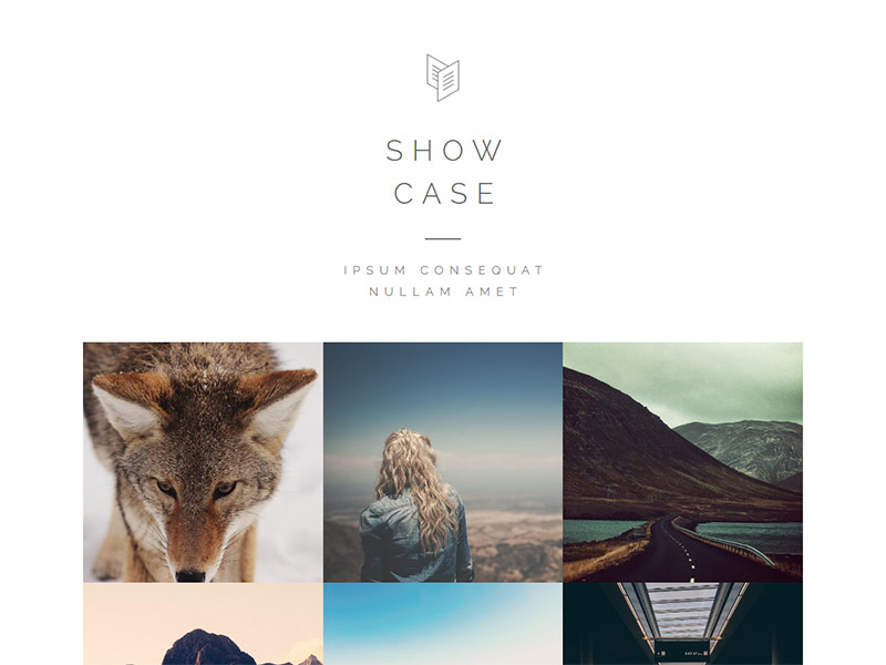 Carrd Simple Free Fully Responsive One page Sites For Pretty Much 